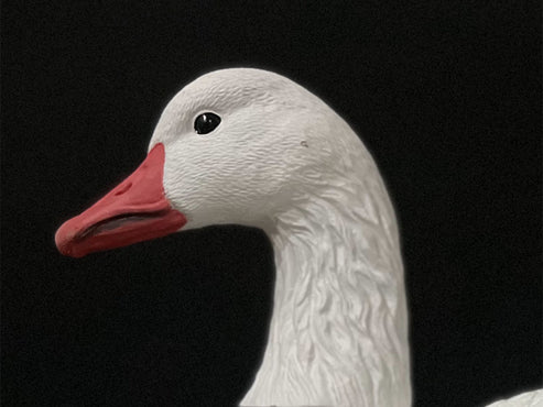Full Body Snow Goose Decoy 6-pack | Fowl Weather Gear